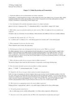 Chapter 9 Cellular Respiration And Fermentation Chapter 9 Cellular