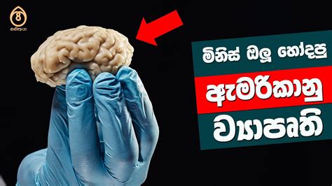 මිනිස් ඔලු හෝදපු ඇමරිකානු ව්‍යාපෘති Youtube