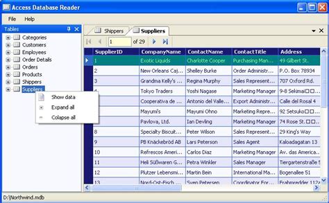 Access Viewer Download Free Windows 10 Softpedia