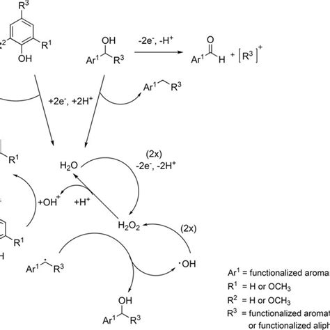 Pdf Sustainable Electrochemical Depolymerization Of Lignin In Reusable Ionic Liquids