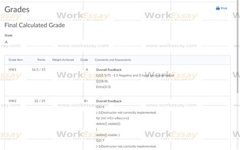 Paper代写留学生作业代写代做 Workessay代写