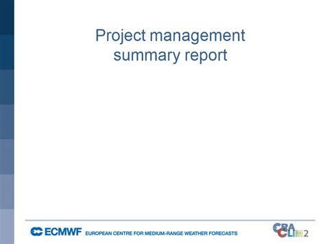 Rescue Your Project With The Project Management Summary Report Template