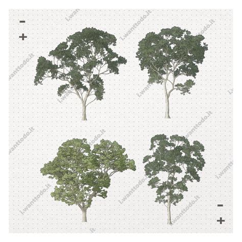 Trees Elevation Package 01