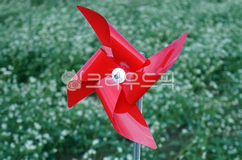 바람개비 감성 바람 종이접기 빨간 사진이미지일러스트캘리그라피 Cinong작가