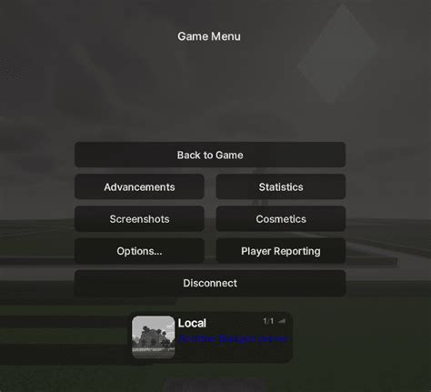 Server Info Widget In Esc Wrong Size Labymod Idea
