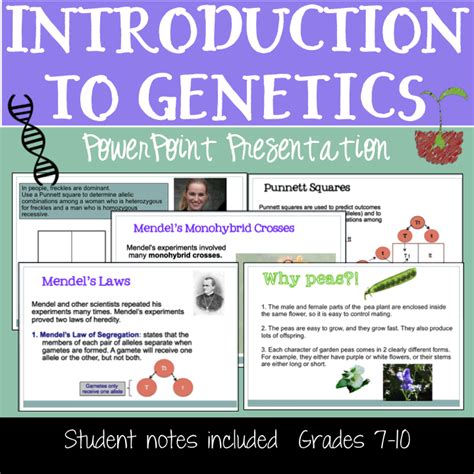 Genetics Notes Introduction To Genetics PowerPoint Powerpoint Presentation Design Powerpoint