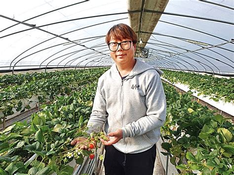딸기체험농장 운영으로 6차 산업을 선도하고 있습니다