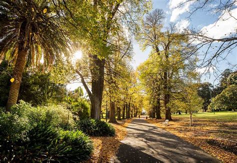 Khám Phá Fitzroy Gardens Trái Tim Xanh Của Thành Phố Melbourne