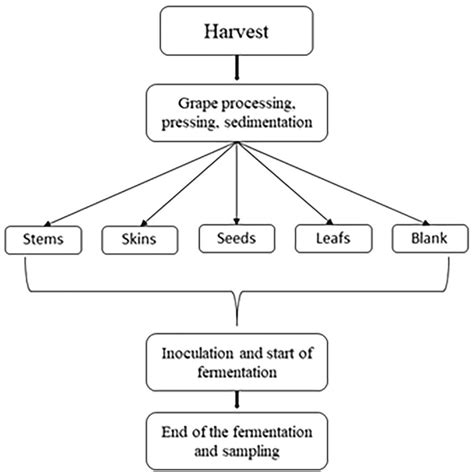 A Schematic Representation Of The Experiment With The Addition Of Download Scientific Diagram