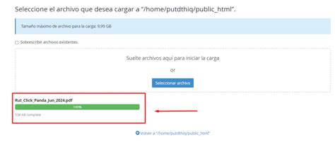 Como Subir Mi Pagina Web A Cpanel Clickpanda Blog