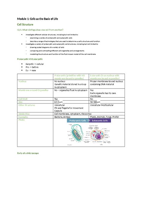 Module 1 Biology Notes Mod 1 Bio Note Cells Are The Basis Of Life Module 1 Cells As The