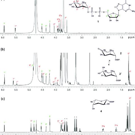 Hplc Analysis Of The Initial Substrate A And The Enzymatic Reaction Download Scientific