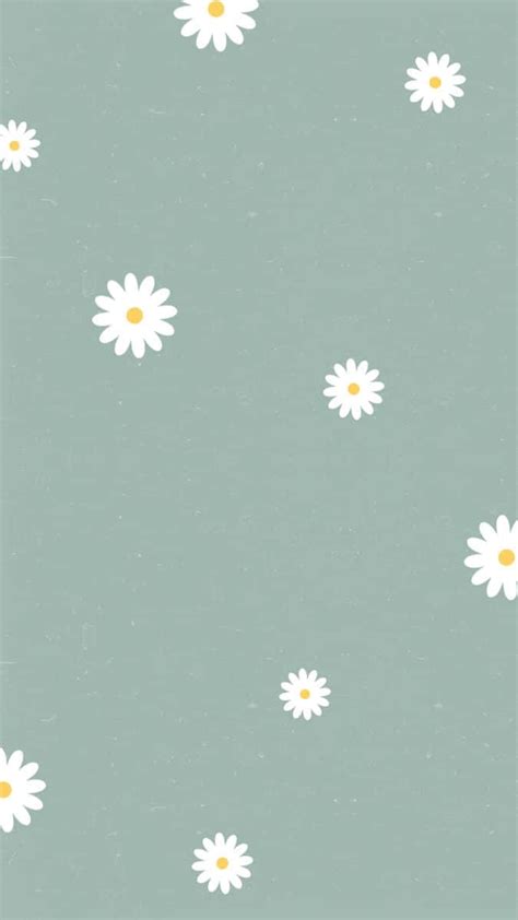 [100 ] Cute Daisy Wallpapers