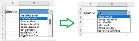 การทำตัวเลือก drop down แบบค้นหาได้ excel·a·vista
