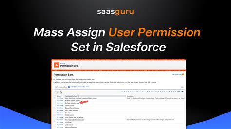 Mass Assign User Permission Set In Salesforce Saasguru