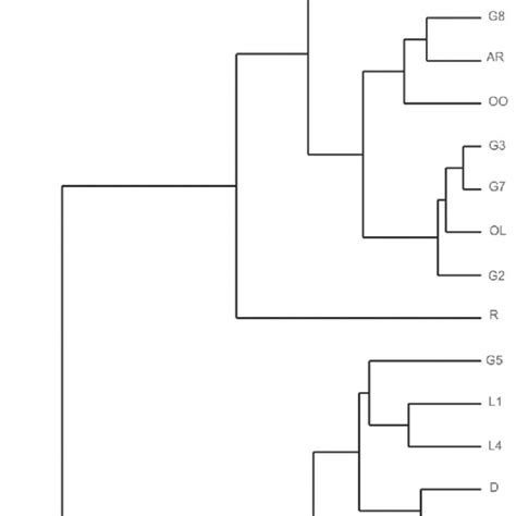 Unweighted Pair Group Method With Arithmetic Mean Clustering Of The