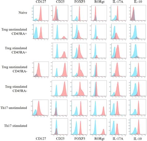 Characteristic Features Of In Vitro Differentiation Of Human Naïve Cd4 T Cells To Induced