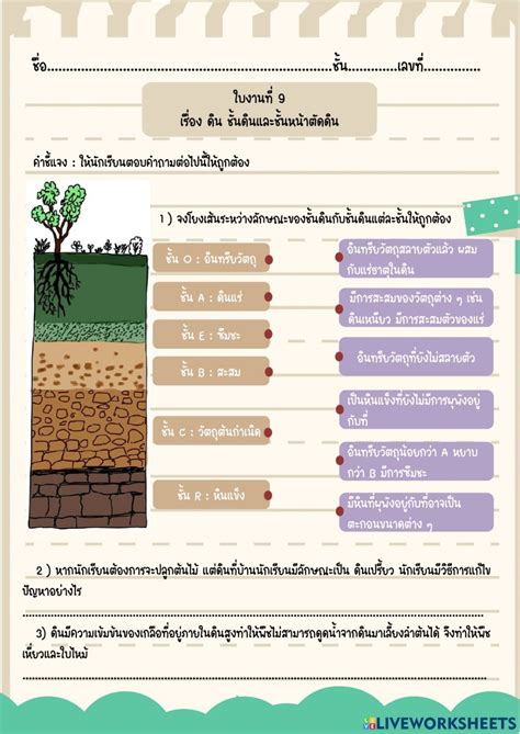 ใบงานที่ 9 ดิน ชั้นดินและชั้นหน้าตัดดิน Worksheet ห้องเรียนวิทยาศาสตร์ การศึกษา ประถมศึกษา