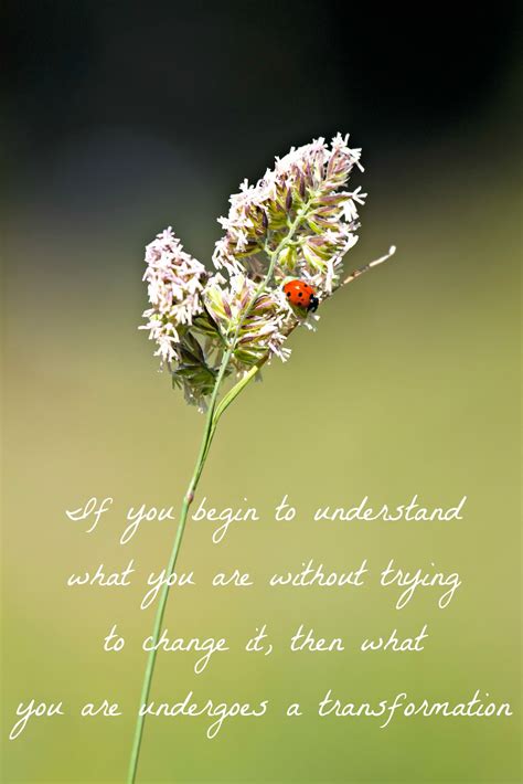 Quotes About Self Validation Quotesgram