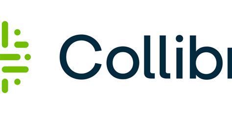 Collibra Digital Leaders