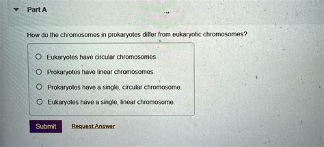 Part A How Do The Chromosomes In Prokaryotes Differ From Eukaryotic Chromosomes Eukaryotes Have