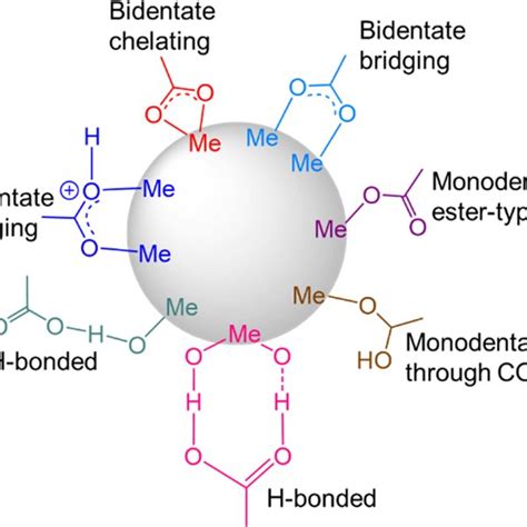 Interaction Modes Of The Carboxylic Group With The Surface Of A Metal