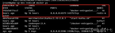 Docker Compose搭建redis集群一主两从三哨兵another Redis Desktop 连接集群 Csdn博客