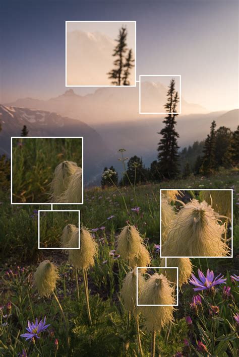 The Ultimate Focus Stacking Guide For Landscape Photography CaptureLandscapes