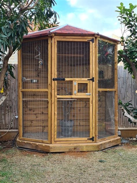 Bird Aviary Diy Artofit