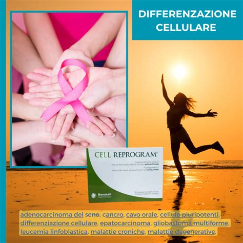 Cell Integrity Reprogram Success Club Professional