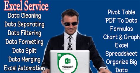 ms excel data cleaning analysis and visualization expert by