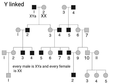 [solved] for each pedigree below determine the most likely mode of