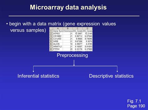 microarray data analysis ppt video online download