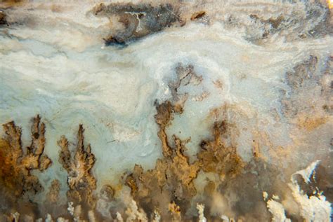 Riolita Roca Banco De Fotos E Imágenes De Stock Istock