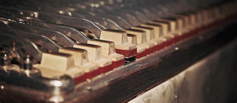 · Our Partners · Accordion Craft Academy