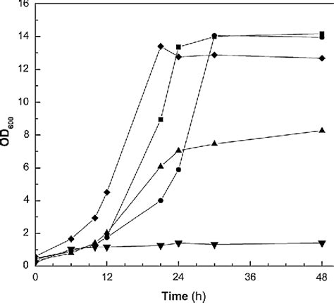 Cryptococcus Diffluens Semantic Scholar