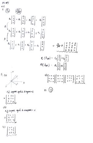 Introduction To Linear Algebra 4th Edition Solution INTRODUCTION TO LINEAR ALGEBRA Fourth