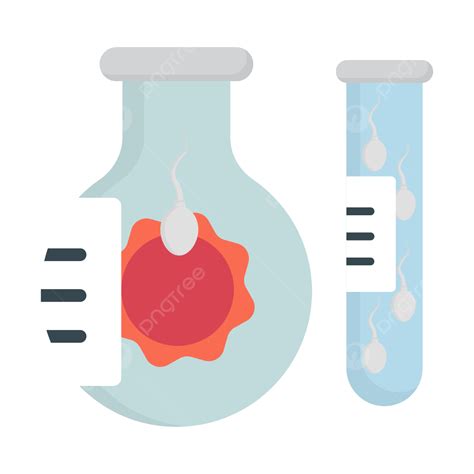 Fertilization Sperm Cell Laboratory Cells Png And Vector With