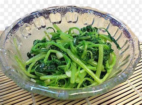 小清新素炒白苋菜PNG图片素材下载 图片编号qwnvably 免抠素材网