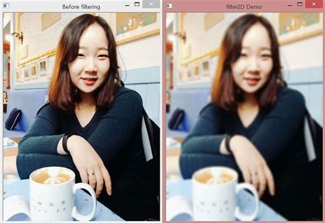 Learn Opencv By Examples 7 2d 컨볼루션 새로운 필터 만들기 By