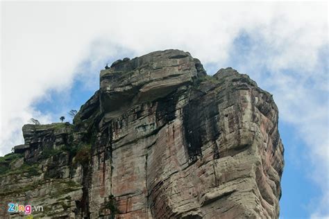 Ngắm Biển Mây Trên đỉnh Pha Luông Hùng Vĩ Vn