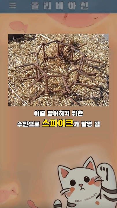 올리비아진 696 개 목걸이에 스파이크가 달린 이유 Youtube