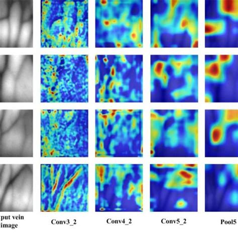 the visualization results of feature maps in some convolutional layers