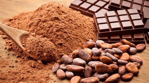 10 Recipes For Using Raw Cocoa Beans In The Kitchen Carolinejoy Blog