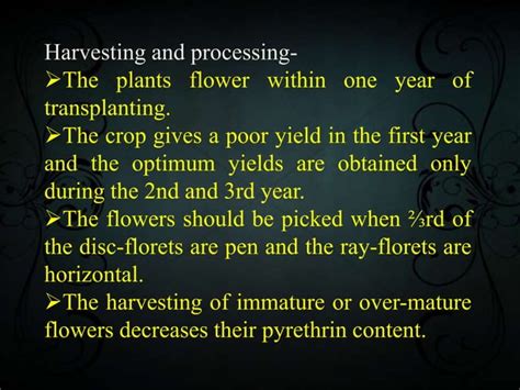 Pyrethrum Pptx Agriculture Industries