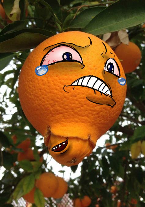 Появление на свет нового апельсина Баян баян боян баяны бояны баянище боянище прикол