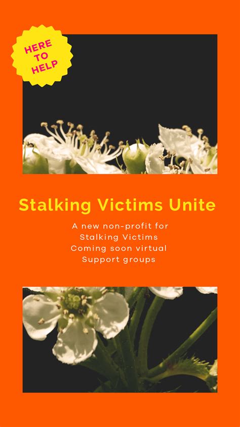 Welcome All Stalking Victims R Stalkingvictimsunite1