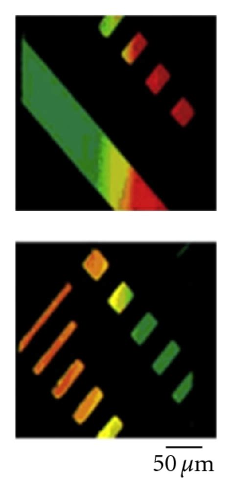 A Generation Of Complex Gradients In Solution By Combining Two Download Scientific Diagram