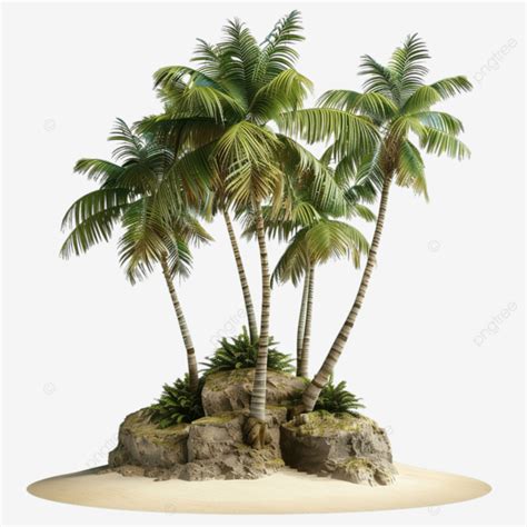 Giant Palm Tree With Multiple Trunks On An Island Palm Tree Island