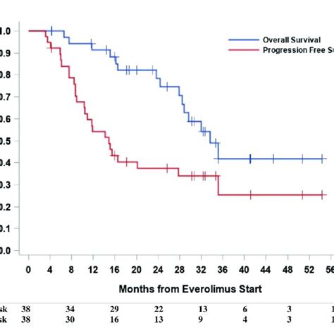 Survival Outcomes Cancers 2022 13 X For Peer Review 9 Of 14 Download Scientific Diagram